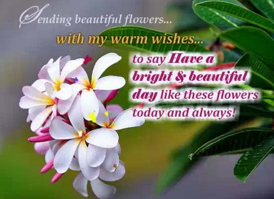 Bright & Beautiful February Flowers! Free February Flowers eCards | 123 ...