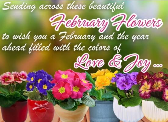 February Flowers Sending Your Way. Free February Flowers eCards | 123 ...