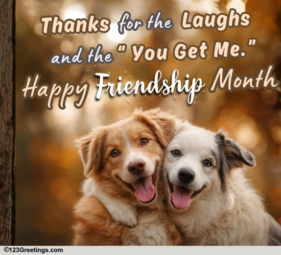 Ecard For You Get Me Kind Of A Friend Free Intl. Friendship Month ...