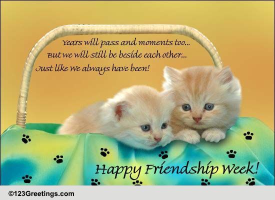 Still Beside Each Other... Free Intl. Friendship Week eCards | 123 ...