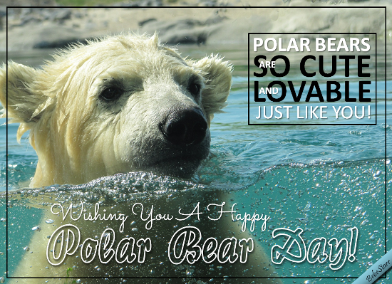 Cute And Lovable Free Polar Bear Day Ecards Greeting Cards 123