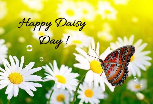 Day Of Dreams And Daisies! Free Daisy Day eCards, Greeting Cards | 123 ...