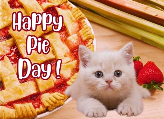 Sweet And Warm Pie Day Wishes. Free National Pie Day eCards | 123 Greetings