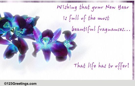 For A Beautiful Woman... Free Flowers eCards, Greeting Cards | 123 ...