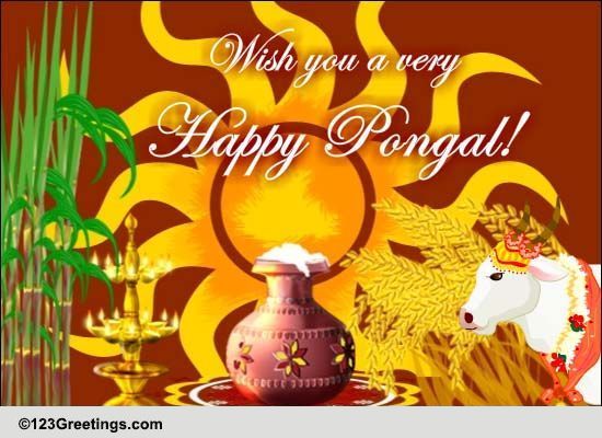 Spirit Of Pongal... Free Pongal eCards, Greeting Cards | 123 Greetings
