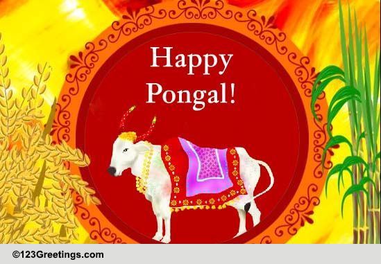 A Happy Pongal Wish. Free Pongal eCards, Greeting Cards | 123 Greetings