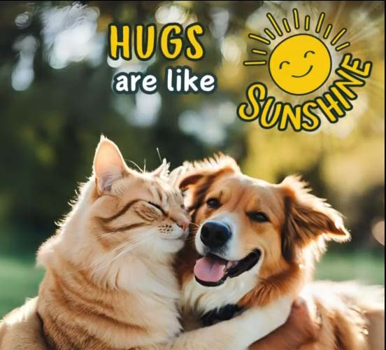 Send A Hug Day Greetings... Free Love Hugs eCards, Greeting Cards | 123 ...