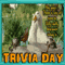 It’s Trivia Day! Free Trivia Day eCards, Greeting Cards | 123 Greetings