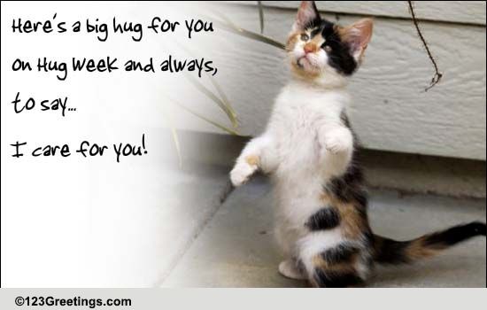 A Big Hug For You! Free Hug Week eCards, Greeting Cards | 123 Greetings