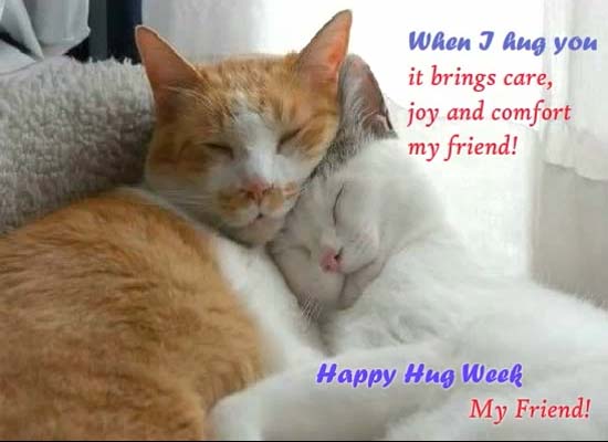 When I Hug You It Brings Care! Free Hug Week eCards, Greeting Cards ...