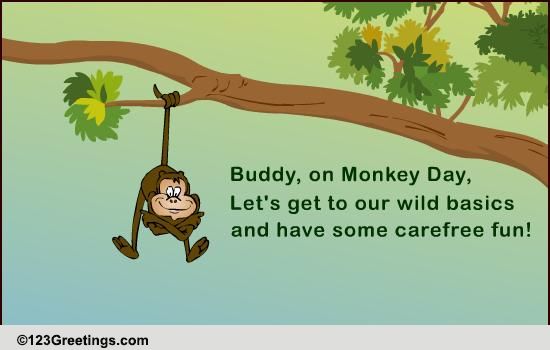 Carefree Fun... Free Monkey Day eCards, Greeting Cards | 123 Greetings