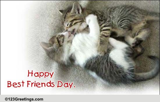 Make Your Best Friend Smile. Free Happy Best Friends Day eCards | 123 ...