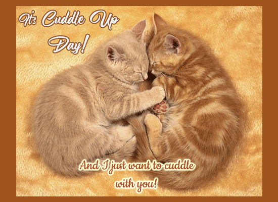 Want To Cuddle... Free Cuddle Up Day eCards, Greeting Cards | 123 Greetings