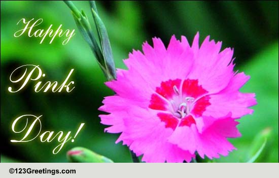 Happy National Pink Day. Free National Pink Day eCards, Greeting Cards ...