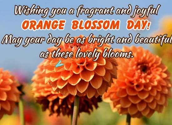 Joyful Orange Blossom Day. Free Orange Blossom Day eCards | 123 Greetings