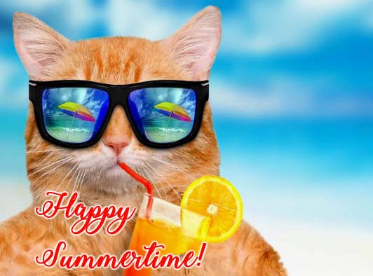 Summer Fun Cards, Free Summer Fun Wishes, Greeting Cards | 123 Greetings