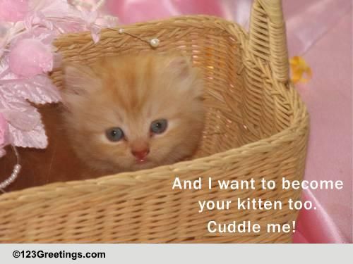 A Cute Message For Your Sweetheart. Free Cuddly Kitten Day eCards | 123 ...