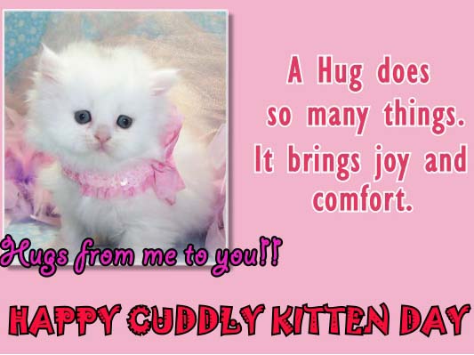 Cuddly Kitten Day Cards, Free Cuddly Kitten Day Wishes, Greeting Cards ...