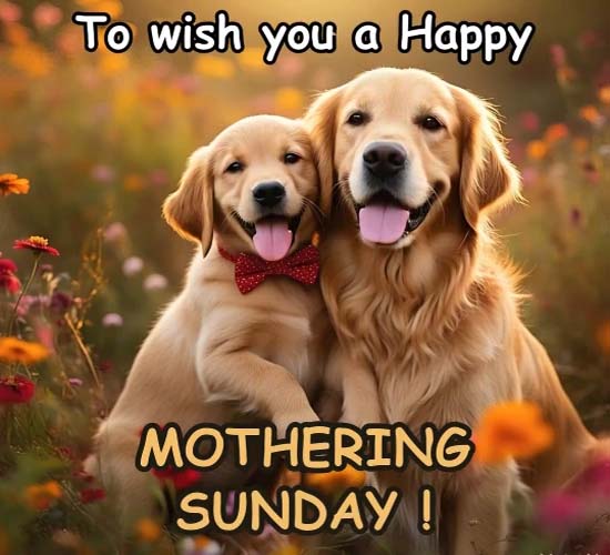 With Love & Hugs On Mothering Sunday. Free Mothering Sunday eCards ...