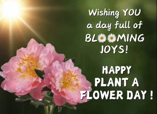 Day Full Of Blooming Joys. Free Plant a Flower Day eCards | 123 Greetings