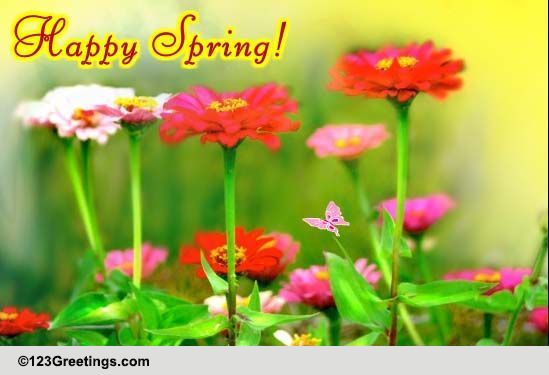 Spring Blooms! Free Flowers eCards, Greeting Cards | 123 Greetings