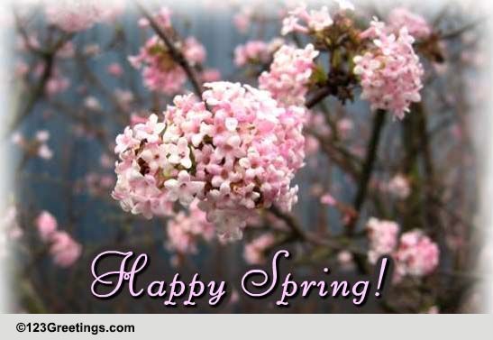 Spring Cards, Free Spring Wishes, Greeting Cards | 123 Greetings