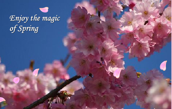 Enjoy The Magic Of Spring. Free Magic of Spring eCards, Greeting Cards ...