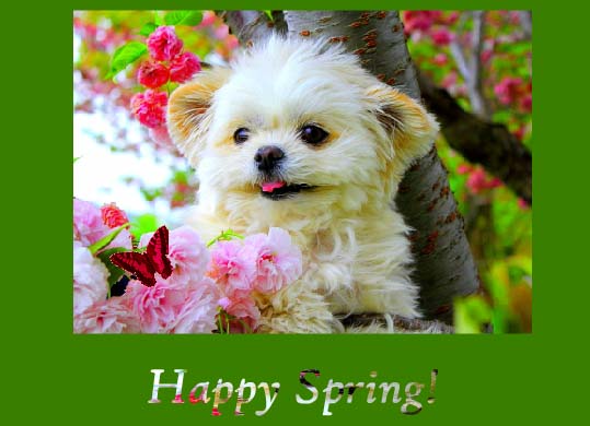 Wonderful Spring Season... Free Specials eCards, Greeting Cards | 123 ...
