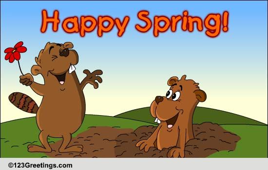 A Spring Bloom! Free Happy Spring eCards, Greeting Cards | 123 Greetings