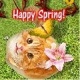 Happy Spring Cards, Free Happy Spring Wishes, Greeting Cards | 123 ...