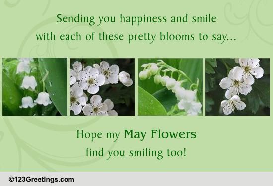 Warm Wishes With May Flowers. Free May Flowers eCards, Greeting Cards ...