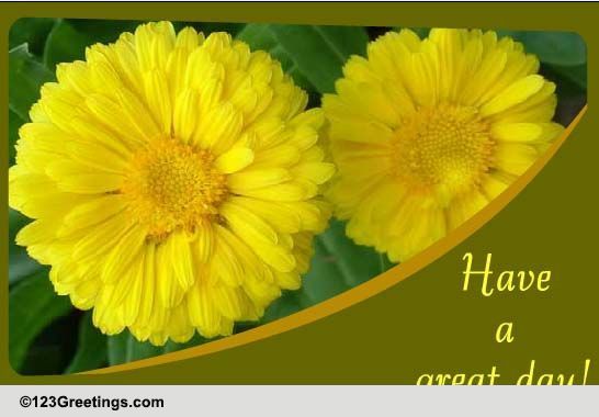 May Flowers Cards, Free May Flowers Wishes, Greeting Cards | 123 Greetings