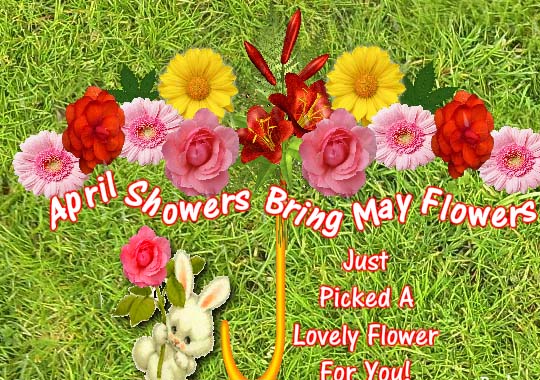Lovely Flowers For You! Free May Flowers eCards, Greeting Cards | 123 ...