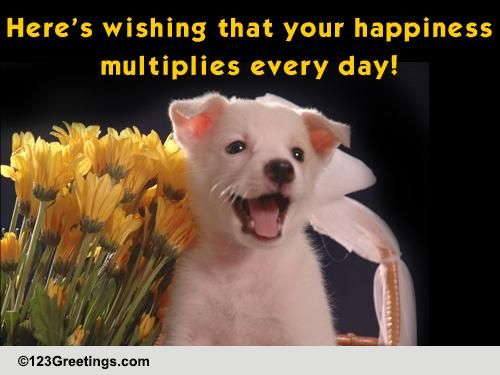 A Cute Get Happy Week Card. Free Get Happy Week eCards, Greeting Cards ...