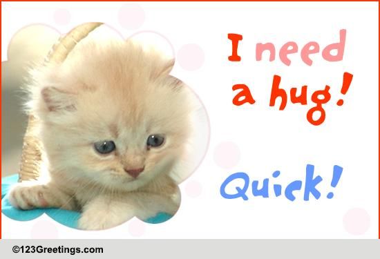 I Need A Hug! Free Hug Your Cat Day eCards, Greeting Cards | 123 Greetings