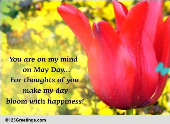 Thoughts Of You... Free May Day eCards, Greeting Cards | 123 Greetings