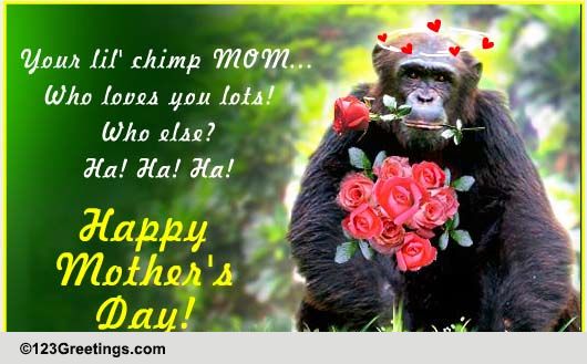 Mom's Lil' Chimp! Free Make Her Smile eCards, Greeting Cards | 123 ...