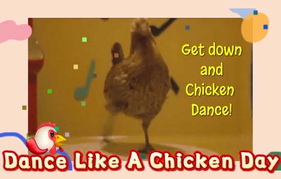 National Dance Like a Chicken Day Cards, Free National Dance Like a ...