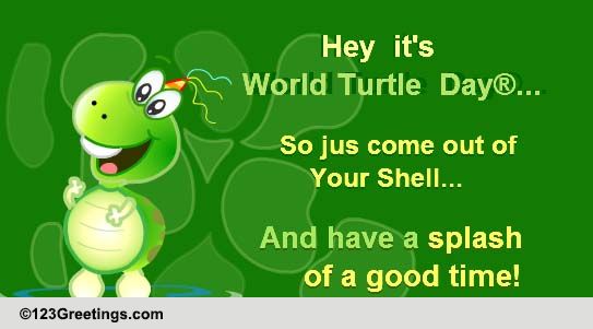 Splash Of A Good Time! Free World Turtle Day® eCards, Greeting Cards ...