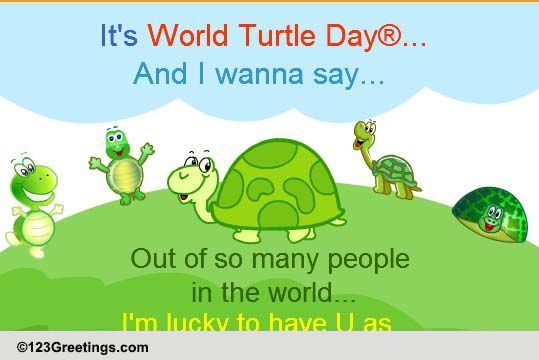 Lucky To Have U... Free World Turtle Day® eCards, Greeting Cards | 123 ...