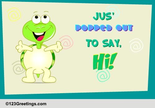 Say Hi! Free World Turtle Day® eCards, Greeting Cards | 123 Greetings