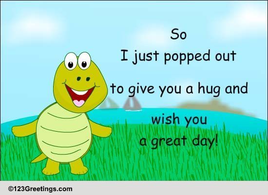 Turtle Hug... Free World Turtle Day® eCards, Greeting Cards | 123 Greetings