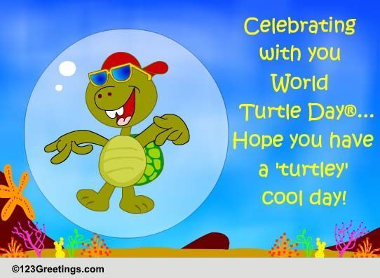 Celebrating World Turtle Day®... Free World Turtle Day® eCards | 123 ...