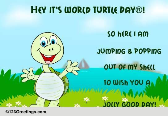 Have A Good Day Turtle