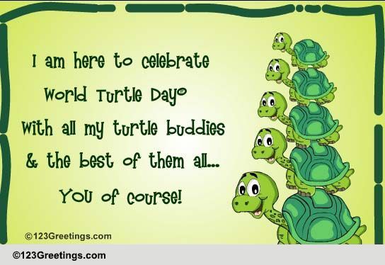 World Turtle Day® Cards, Free World Turtle Day® Wishes | 123 Greetings