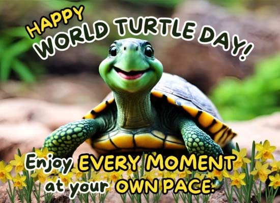 Enjoy Every Moment At Your Own Pace. Free World Turtle Day® eCards ...