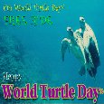 World Turtle Day® Cards, Free World Turtle Day® Wishes | 123 Greetings