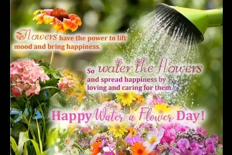 Water a Flower Day Cards, Free Water a Flower Day Wishes, Greeting ...