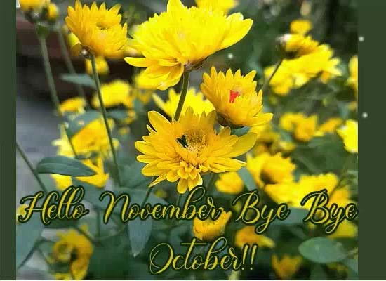 Hello November Bye October. Free November Flowers eCards, Greeting ...