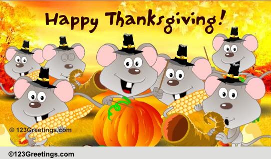 A Fun Thanksgiving Song! Free Happy Thanksgiving eCards, Greeting Cards ...